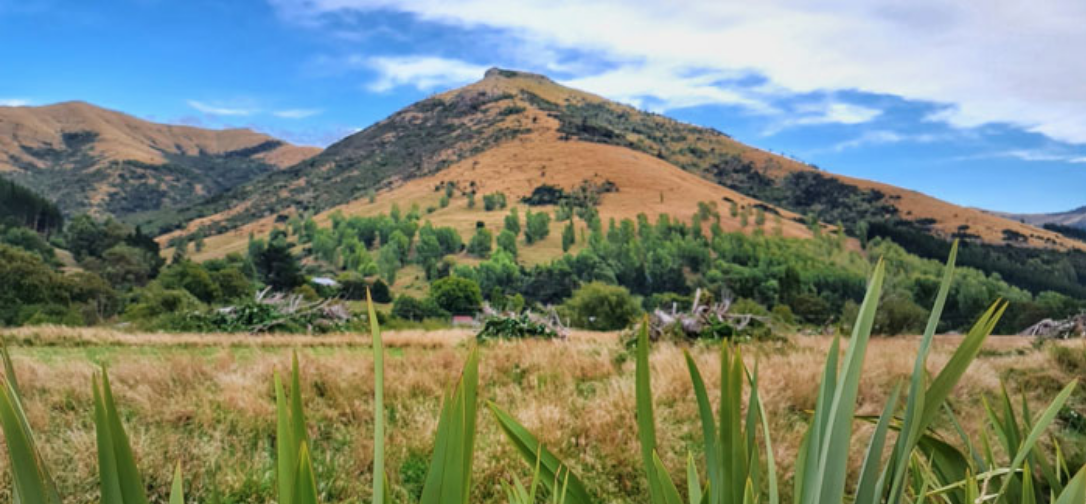 Events | Little River Wairewa Community Trust | What's On